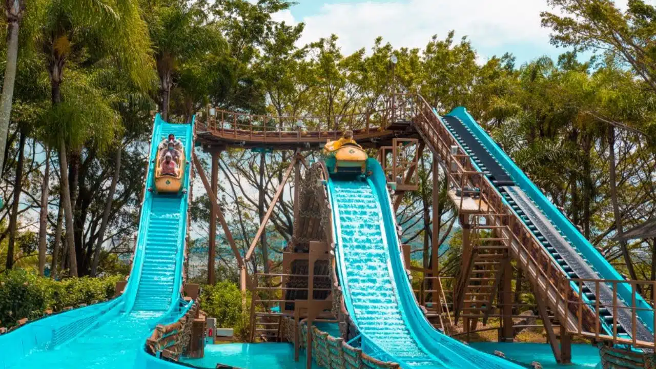 Beto Carrero World: quando ir e como aproveitar o parque